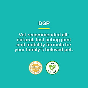 American BioSciences DGP, All-Natural Joint Supplement for Dogs - Joint Support with Turmeric, Boswellia Extract & More - Quick Effect for Immediate Mobility Support - 60 Chewable Pet Tablets