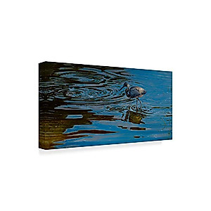Trademark Fine Art Ripples in The Shallow by Michael Jackson, 12x24-Inch