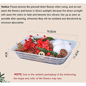 Dried Pressed Flowers Mixed Box for Resin Random, with 1 Tweezers, Real Natural Dry Mixed Flowers Leaves Bulk Herbs Kit for Scrapbooking DIY Art Crafts, Nail, Candle, Soap Making
