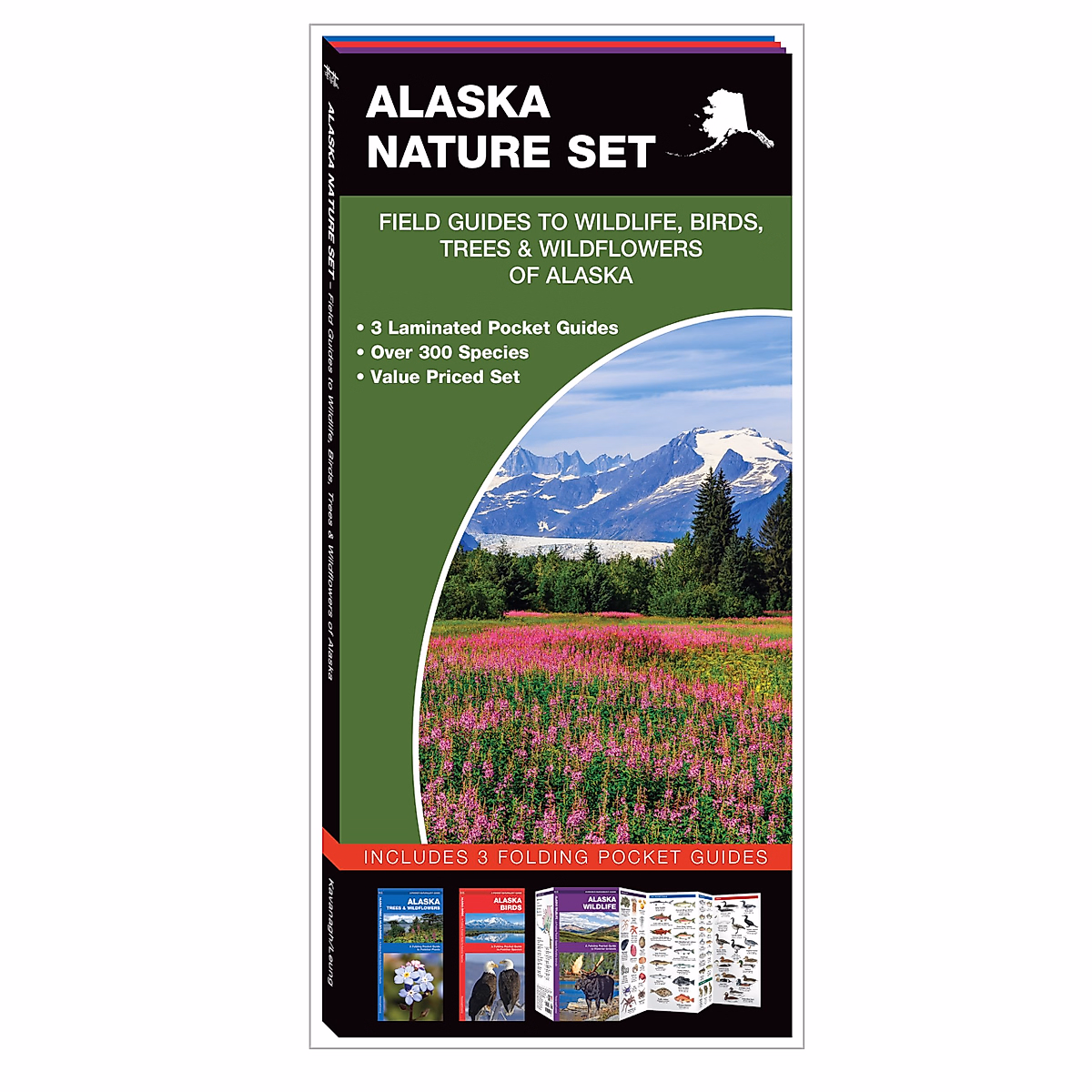 Alaska Nature Set: Field Guides to Wildlife, Birds, Trees & Wildflowers of Alaska (Nature Observation North America)