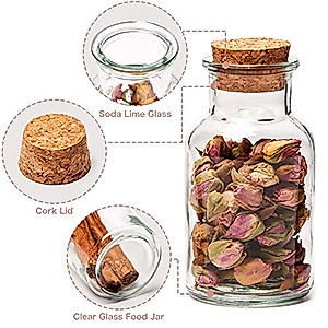 EZOWare 20pc Spice Jars, 5oz Bottle Clear Glass Canister Set with Cork Lid, Round Decorative Reusable Vial Storage Containers for Herbs, Teas, Seasonings, Party Favors, Candy (150ml)