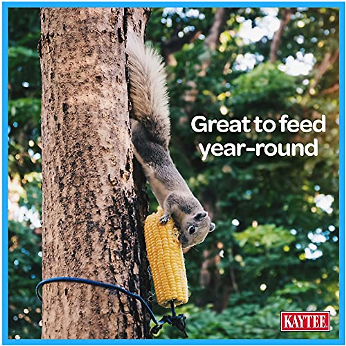 Kaytee Corn On The Cob Food For Wild Squirrels, Rabbits, Chipmunks and Other Backyard Wildlife, 6.5 Pound