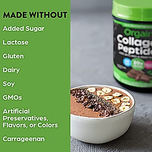 Orgain Hydrolyzed Collagen Peptides Powder, 20g of Chocolate Grass Fed Collagen - Hair, Skin, Nail, & Joint Support Supplement, Paleo & Keto, Gluten Free, Dairy Free, Non-GMO, Type I and III, 1lb