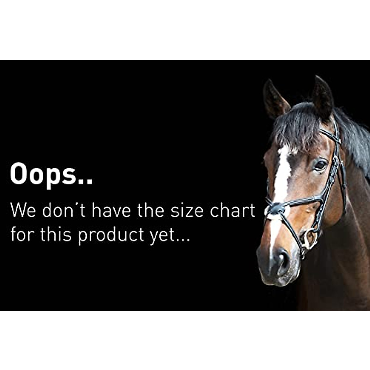 Horze Shipping Boots - Peacoat Dark Blue - Horse