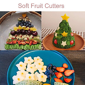 Strone Cookie Cutters, 20 Pcs Cookie Cutters Set Stainless Steel Multi-Size Biscuit Cutters Sandwich Fruit Cutting Shapes Heart, Star, Circle, Flower Metal Molds