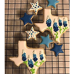 Texas Cookie Cutter 5" Made in USA by Ann Clark