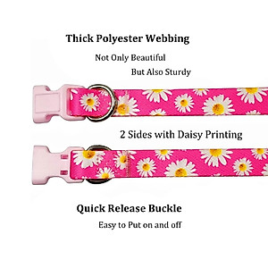 Olahibi Dog Collar and Leash Set, Cute Pink Daisy Pattern, Polyester Material, 5ft Leash, for Small Dogs.(S, Daisy Set)