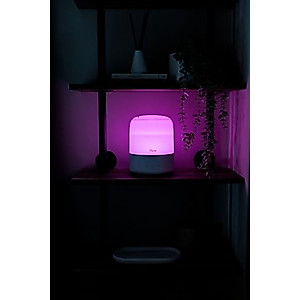 Crane Ultra-Quiet 3-in-1 Humidifier, Essential Oil Aroma Diffuser & Soothing Sleep Light - Compact 0.5 Gallon Capacity with Adjustable Night Light & Fragrance Tray - Ideal for Bedroom, Office, Nursery