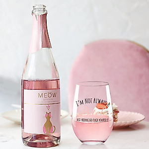 I'm Not Always A B, Just Kidding Funny Wine Glass Gifts for Women, Cute Christmas Birthday Gifts for Women, Girlfriend, Friend, Sister, BFF, Coworkers, Female, Her, Unique Bitchy Gifts Ideas for Women