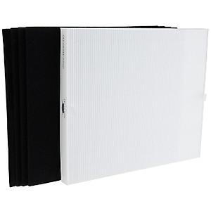Genuine Winix 113050 Replacement Filter C for P150 Air Purifier, White