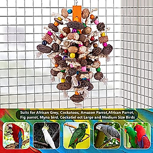 Deloky Large Parrot Bird Chewing Toys-Natural Nuts Corn Parrot Tearing Toy-Wooden Bird Cage Toy for African Grey,Macaws Cokatoos,Amazon Parrots and Other Large Birds
