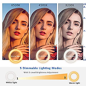 Cyezcor Video Conference Lighting Kit, Ring Light for Monitor Clip On,for Remote Working, Distance Learning,Zoom Call Lighting, Self Broadcasting and Live Streaming, Computer Laptop Video Conferencing
