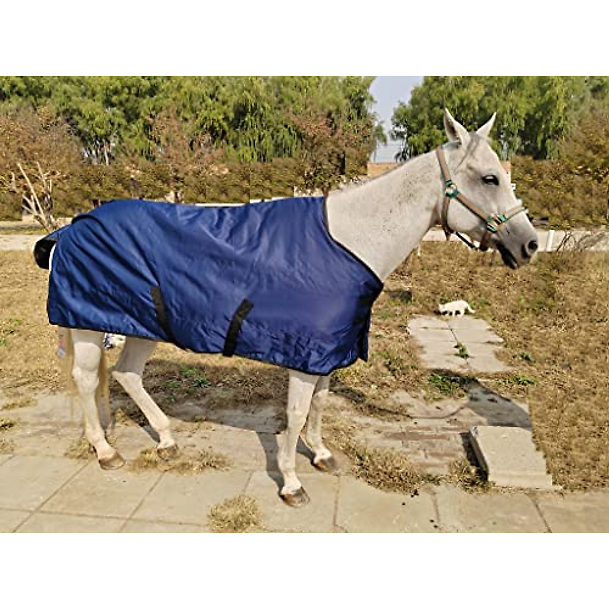 Ankaier 1800 Denier Waterproof and Windproof Winter Turnout Horse Blanket, High-Grade Thermal Insulation Polyfill (250 Grams) Materials, Medium-Weight, Ripstop, Navy Color- 69" inches (Black Edge)