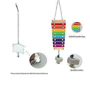 KIEYYRYT 6 Packs Chicken Toys for Coop Accessries, Chicken Swing Toys for Chicken Hens, Chicken Xylophone Toys and Mirror, Vegetable Hanging Feeder, Veggies Skewer