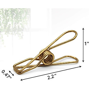 50 Pcs Gold Clothes Pins, AITRAI Heavy Duty ClothesPins Stainless Steel Wire Clothes Pins Laundry Clips for Clothesline Hanging Clothes Outdoor Travel Camping