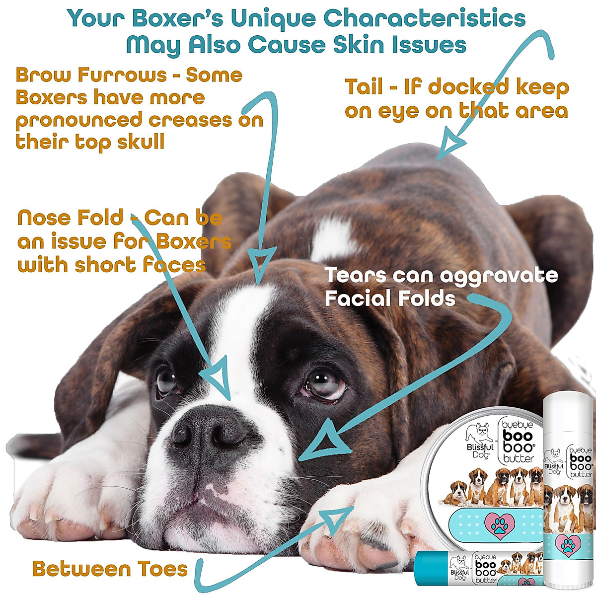 The Blissful Dog 1 oz TIN Boxer Booboo Butter