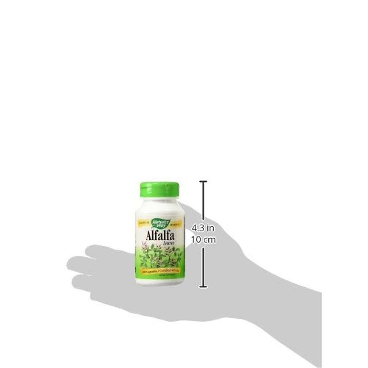 Nature's Way Alfalfa Leaves, 1,215 mg, 100 Vegetarian Capsules, Pack of 2