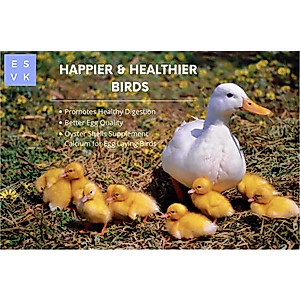 ESVK Chicken and Bird Feed Calcium Supplement | for Healthy Eggs Natural Flaked Oyster Shell - 8 Pounds (Pack of 1) | Made in USA