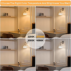 Owilukie E26 LED Bulb 6W Equivalent E26 Bulb 60 watt,Vintage Edison Bulbs,Warm White 2700K Amber E26 Edison Bulb dimmable,Tubular T14 T45 LED Light Bulb,AC120V,500lm,CR90+,Clear Glass,Pack of 4