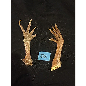 2 Real Chicken Feet Taxidermy Arts Witchcraft Spell Voodoo Hoodoo