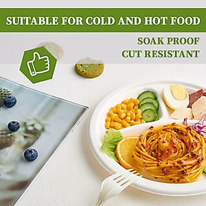 ECOLipak 150 Pack Compostable 3 Compartment Plates, Heavy-Duty Disposable Biodegradable Paper Plates, 8.85 inch Eco-Friendly Sugarcane Bagasse Divided Plates for Dinner