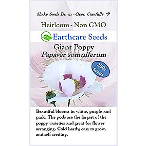 Earthcare Seeds Giant Poppy 250 Seeds (Papaver Somniferum Giganteum) Non GMO - Heirloom