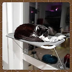 All Around 360° Sunbath and Lower Support Safety Iron Cat Window Perch, Cat Hammock Window Seat for Any Cats (L, Grey)