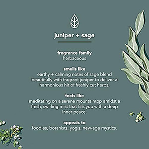 Method Men 2-in-1 Shampoo + Condtioner, Juniper + Sage, 14 Ounces.