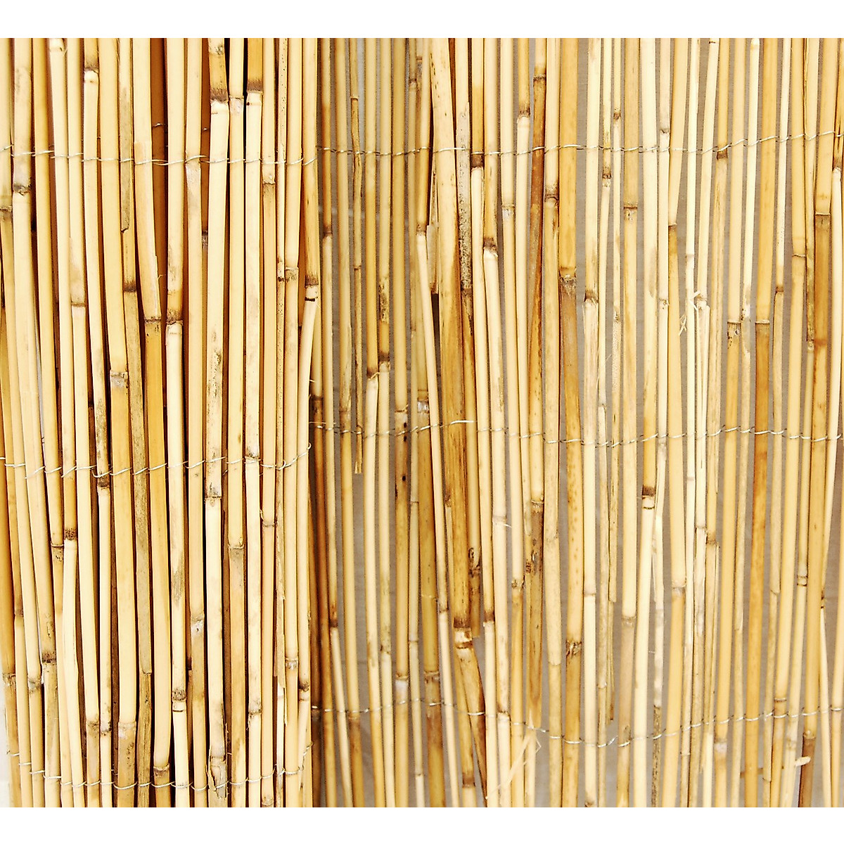 Backyard X-Scapes Natural Reed Fencing Decorative Fence for Backyard Garden Fencing Divider 4 ft H x 8 ft L