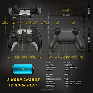 Wireless Controller Compatible with Nintendo Switch/Lite/OLED, Dark Knight Edition Remote Game Control with Turbo, Motion Control, HD Rumble - Black/Grey
