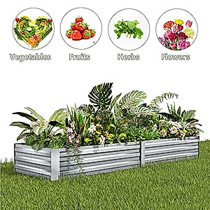 BIRASIL Outdoor Galvanized Raised Beds, Steel Garden Boxes for Flower Vegetables, Metal Planter Box for Gardening (8x2x1FT, Silver)
