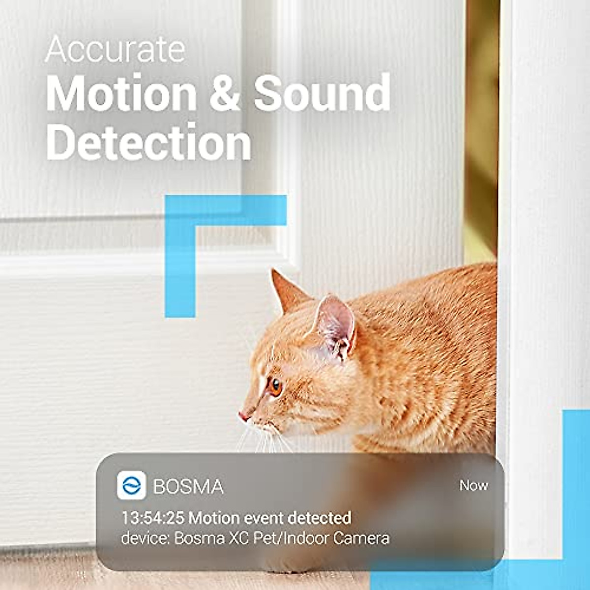 Bosma XC Pet Camera, Full HD WiFi Indoor Security Camera, 360 View and Super Wide Angle, Two-Way Audio and Video, Night Vision, Motion and Sound Detection, Local Storage, Easy Installation