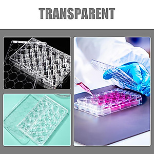 JECOMPRIS 2pcs 24 Well Cell Culture Plate Cultivation Plates Laboratory Reaction Tray for Laboratory