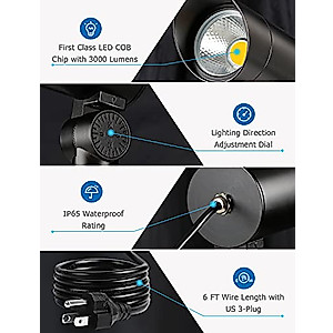 SUNVIE 30W Spot Lights Outdoor LED Spotlight 120V 3000LM Ultra Bright Flag Pole Light with Metal Stake, Warm White Flood Light Landscape Lighting for Yard Flag Tree Garden, 6 FT Cord with Plug, 2 Pack