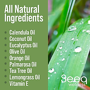 All Natural Feminine Deodorant Spray - for Vaginal Itch, Irritation & Odor - Feminine Hygiene Spray for Odor and BV - Made in USA; 2oz Spray