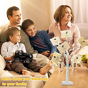 PEIDUO Money Tree, 22 Inch Gift Card Tree Holder with 6 Clips and 6 Greeting Cards, 24 Warm White Birch Tree with Lights, Christmas Tree Card Holder for Birthday Wedding Indoor Xmas Decorations