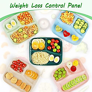 DLF. DONGLINFENG Adult Compartmentalized Dinner Plates 5-Piece Set Unbreakable Portion Control Wheat Plastic Dinner Plates (Compartmentalized Plates/Picnic Plates) 10-Inch