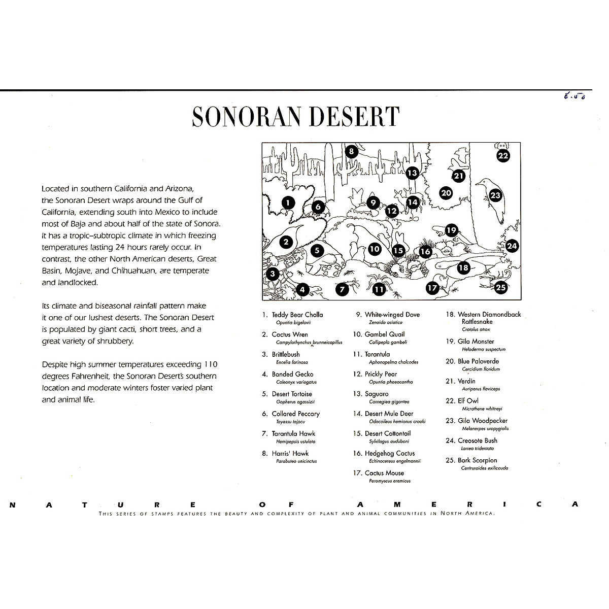 Postage Stamp US Scott 3293 Sonoran Desert Full Sheet of Ten 33 Cent Stamps
