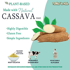 Fieldcrest Farms Nothing to Hide All Natural Rawhide Alternative Dental Bones Dog Chews - & Magnet, Plant Based Wave Treat Chews for Dental Health (Medium)