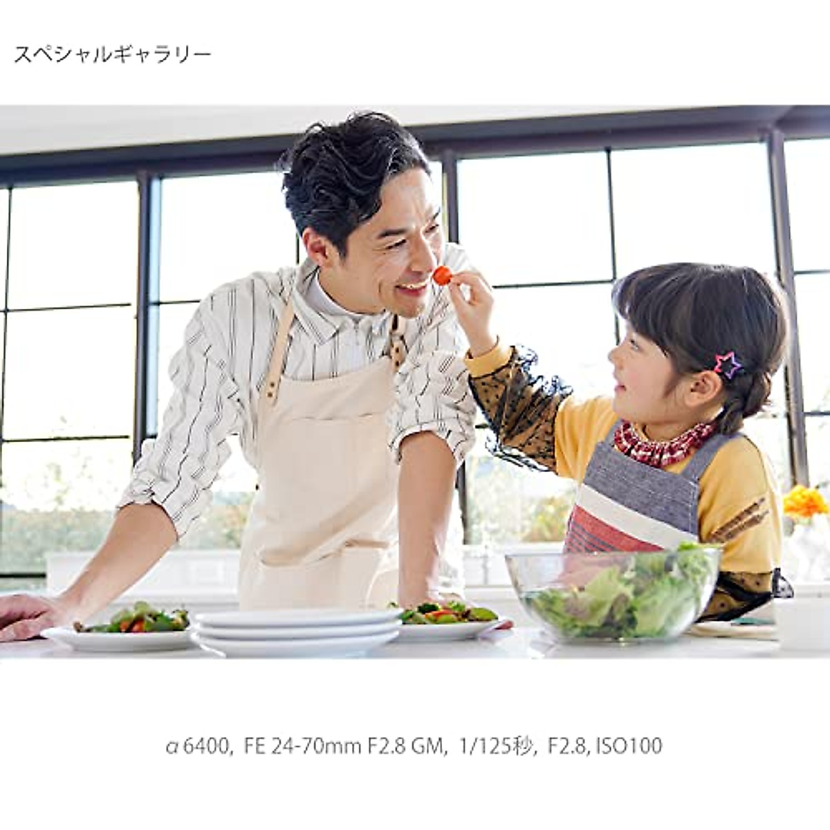 Sony / APS-C / Alpha 6400 / High Magnification Zoom Lens Kit (Included Lens: SEL18135) / Black / ILCE-6400M