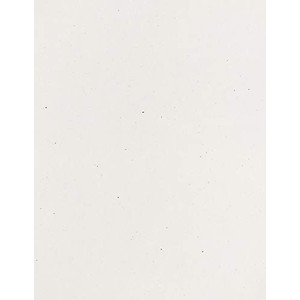 Madero Beach Speckletone 100% Recycled Cardstock Paper - 8.5 x 11 inch - PREMIUM 80 LB. COVER - 25 Sheets