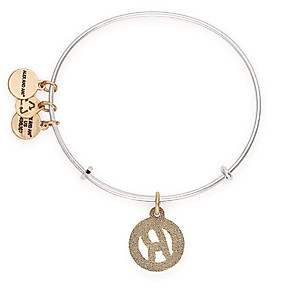 Alex and Ani Women's Initial R II Bangle Two Tone Bracelet, Rafaelian Silver, Expandable