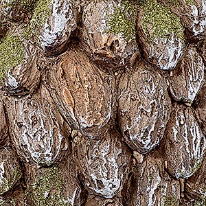 Sunnydaze Hazel The Hedgehog Garden Statue Decor - Hand-Painted Sculpture for Patio, Lawn, Garden and Indoor Living Spaces - 7-Inch