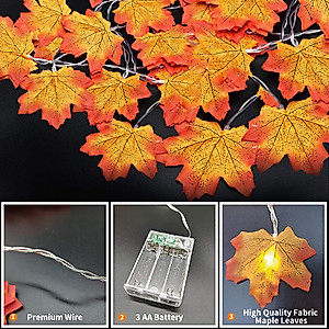 OVV 4 Pack Thanksgiving String Lights Maple Leaves Decorations Fall Leaf Garland Total 40 Ft 80 LED for Home Indoor Outdoor Garden Autumn Holiday Decor 3AA Battery Operated