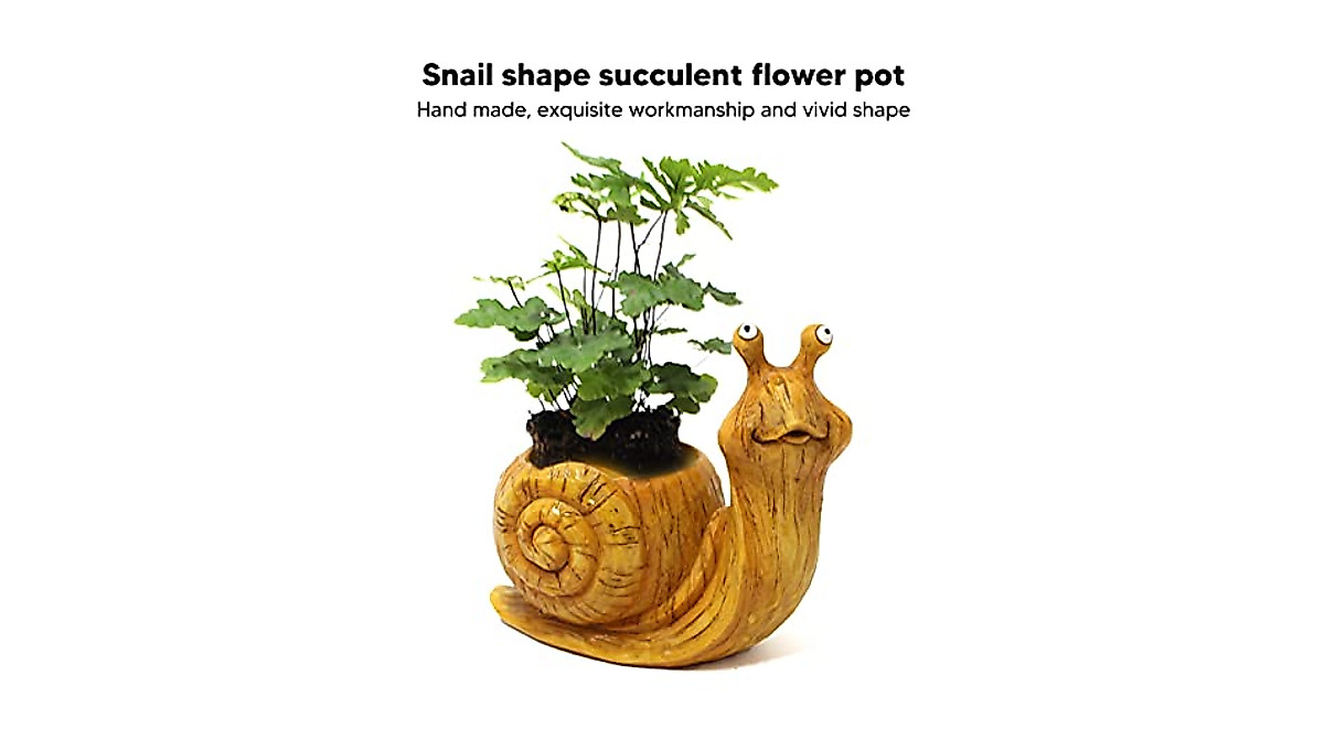 Cute Snail Succulent Flower Pots for Home & Office