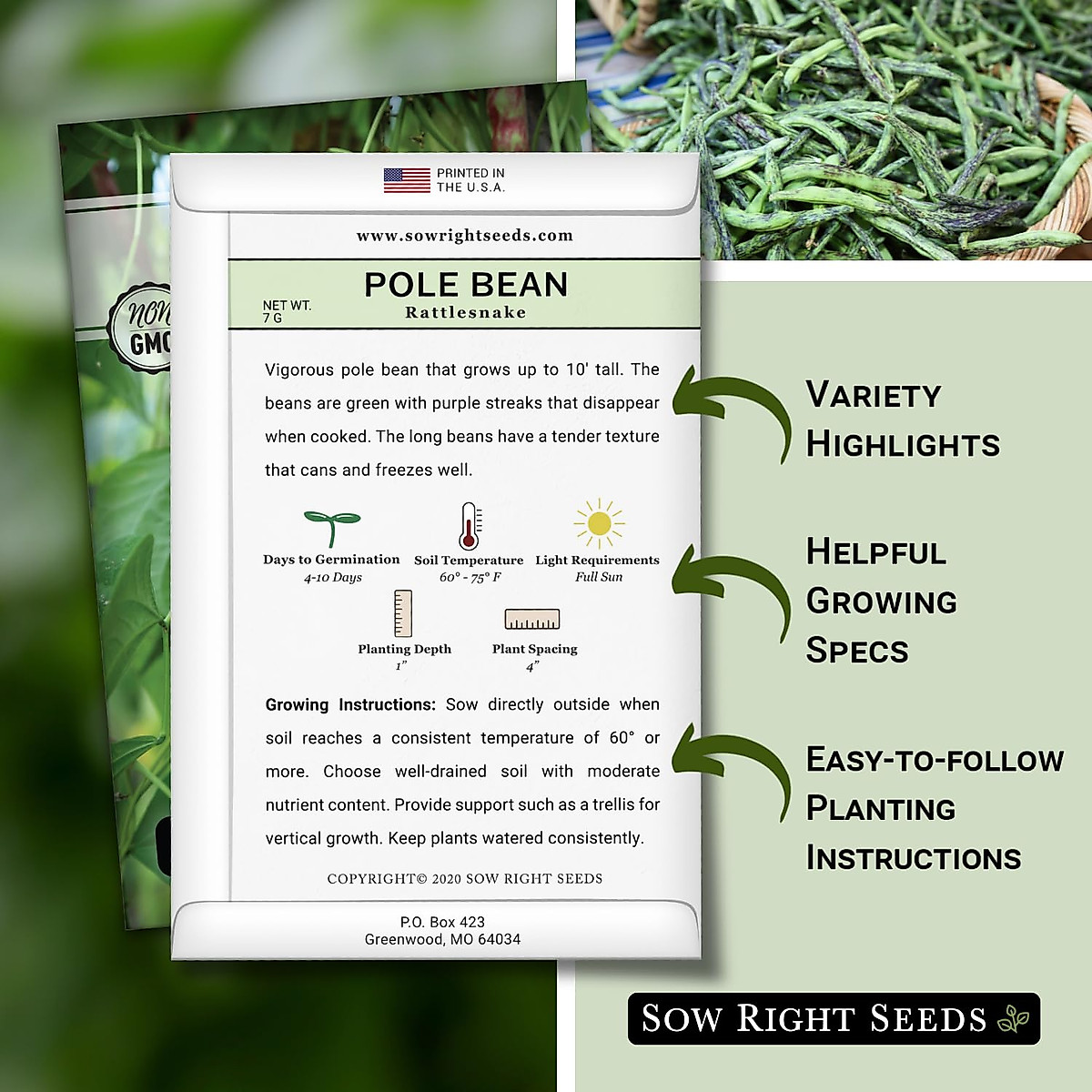 Sow Right Seeds - Rattlesnake Pole Bean Seeds for Planting - Non-GMO Heirloom Packet with Instructions to Plant an Outdoor Home Vegetable Garden - Stringless Variety - Tender with Purple Streaks (1)