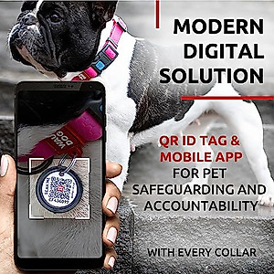 WAUDOG Waterproof Dog Collar - Adjustable Dog Collar for Large Dogs, Small and Medium Dogs - Breakaway Dog Collar Waterproof with Plastic Buckle and QR Dog Tag - Boy & Girl Dog Collars (Pink)