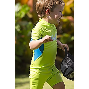 O'Neill Toddler O'Zone UPF 50+ Short Sleeve Spring Suit, Blue/Grey/Red, 1