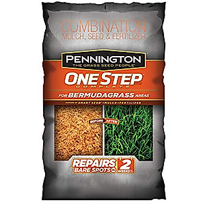 Pennington One Step Complete Bermudagrass Bare Spot Grass Seed, 5 Pounds, White