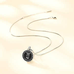 Hearbeingt Cremation Jewelry for Ashes USA Army/Air Force/Navy/Firefighter Memorial Urn Necklace for Ashes Keepsake Pendant for Women Men(Air Force)